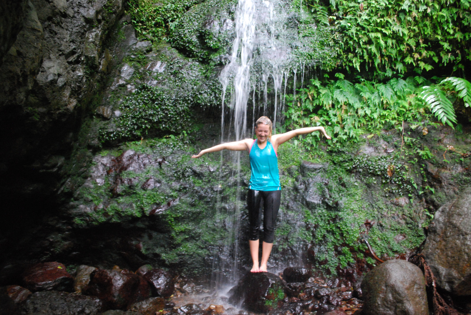 Hiking Through the Nevisian Rainforest in St Nevis, West Indies ...