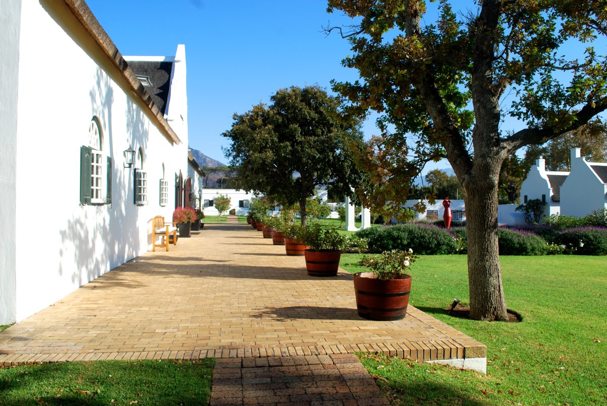 A Hotel Stay and Wine Tasting at Steenberg Farm, Cape Town South Africa